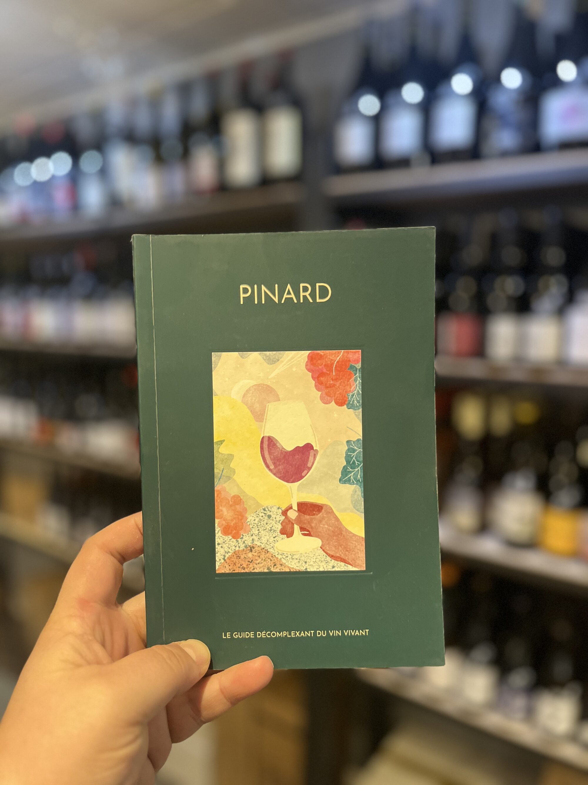 GUIDE PINARD livres sur le vin naturel Autres • Raizins