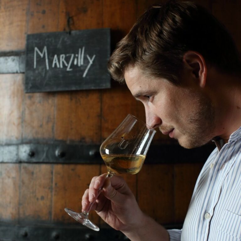 Domaines • Raizins